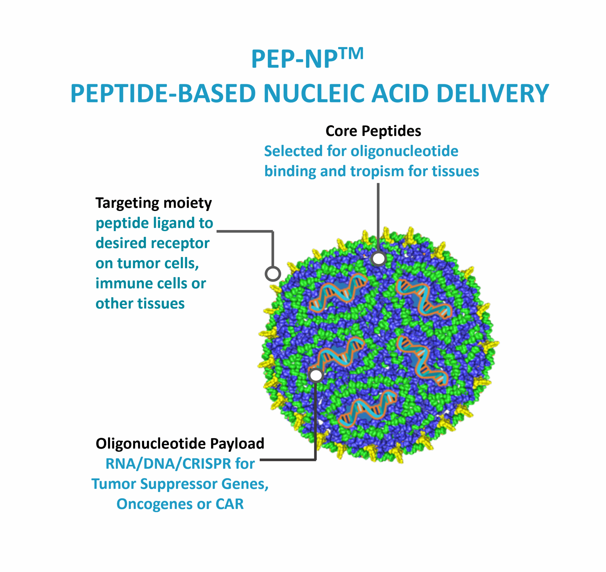 Aanastra – Taking RNA Therapeutics to the next level